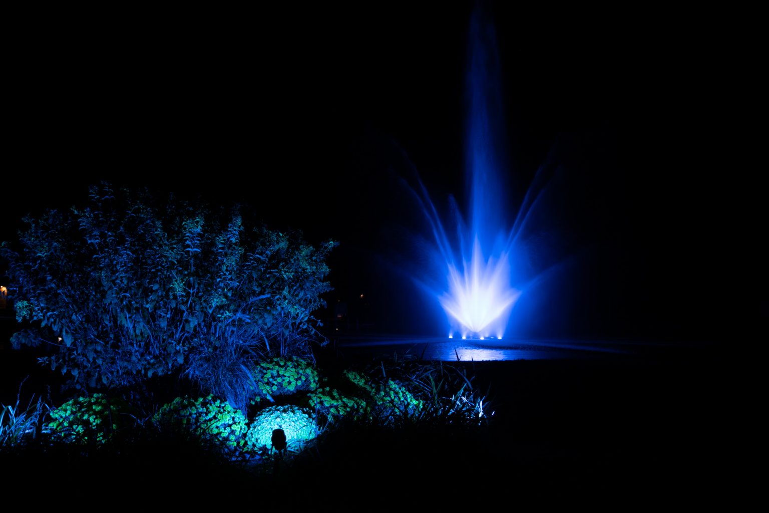Welcome to AquaMaster® Fountains and Aerators - AquaMaster